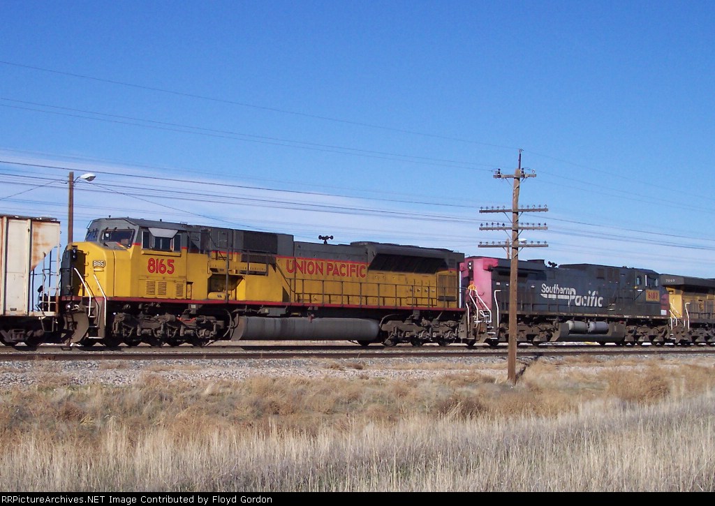 UP 8165 and UP 6187 are two of the four lead units on a heavy grain train.